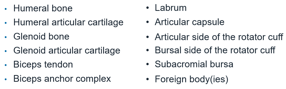 Shoulder Debridement Coding: CPT 29822, 29823, and Practical Examples ...